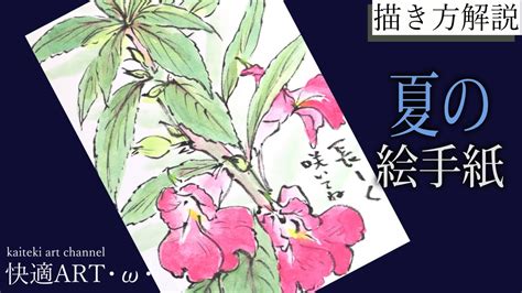 【解説】夏の絵手紙『ホウセンカ』6月、7月、8月 簡単リアルな花の描き方 暑中見舞いにも！ 初心者～中級者向け Youtube