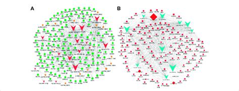 construction of the cerna networks a the upregulated download