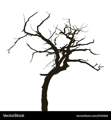 Curved Tree Royalty Free Vector Image Vectorstock