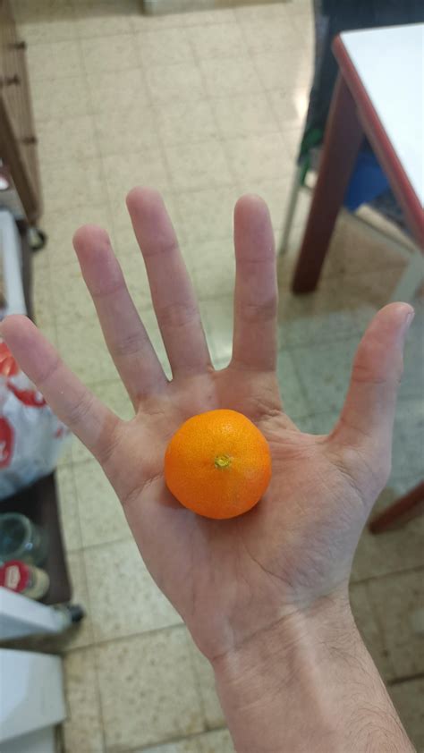 Small Tangerine Moment R Teenagers