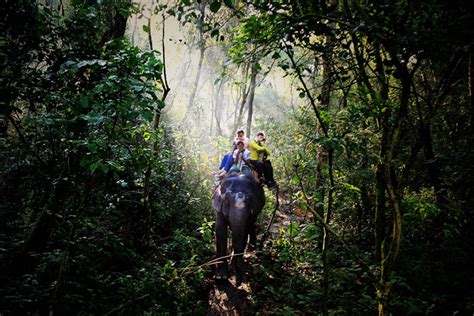 Chitwan Weather Chitwan Temperature Best Time To Visit Chitwan