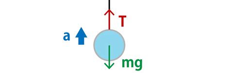 運動方程式の公式が一瞬でわかる！グラフで解説＆必ず解きたい計算問題付き｜高校生向け受験応援メディア「受験のミカタ」