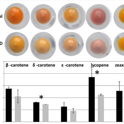 Carotenoid Cleavage By Pblsd In Recombinant Carotenoid Producing Li