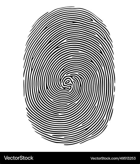 Fingerprint Royalty Free Vector Image Vectorstock