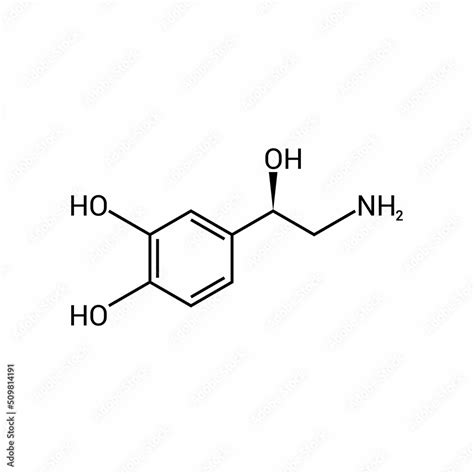 Chemical Structure Of Norepinephrine C8h11no3 Stock Vector Adobe Stock