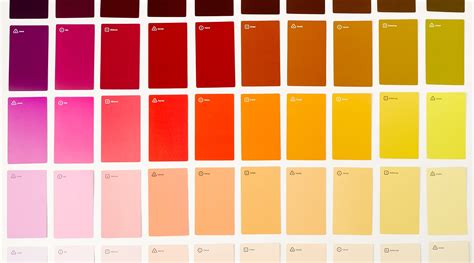 Palette Scout Zollie