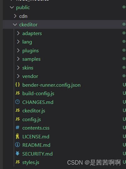 Vue中使用富文本编辑器ckeditor Csdn博客