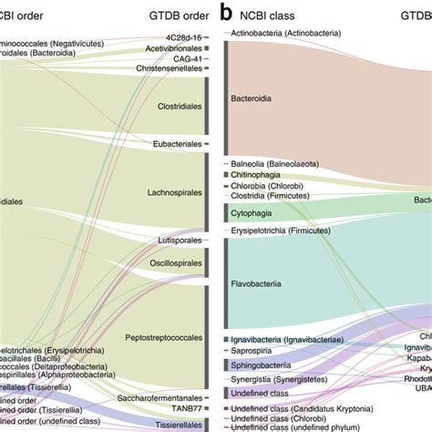 Comparison Of Gtdb And Ncbi Taxonomies And Naming Status Of Gtdb Download Scientific Diagram