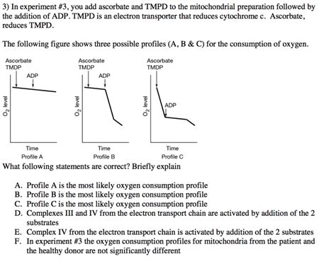 Solved You Decide To Compare The Rate Of Oxygen Consumption