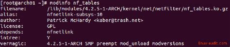 Beginners Guide To Traffic Filtering With Nftables Linux Audit
