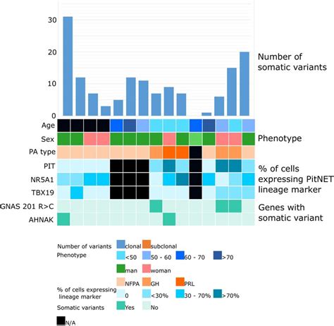Amount Of Somatic Variants Clinical Information Of Pitnet Patients
