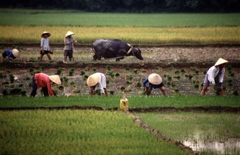 Learning Biodiversity Food And Agriculture Organization Of The