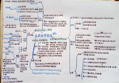 贝壳简笔画法11张几塔之家 贝壳简笔画法11张几塔之家