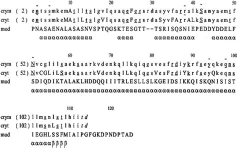 Sequence Alignment Of The Multimerization Domain Of Rpv P Mod With