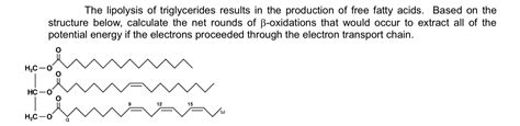 Solved The Lipolysis Of Triglycerides Results In The
