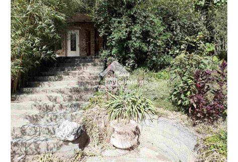 იყიდება სახლები და აგარაკები 240მ²