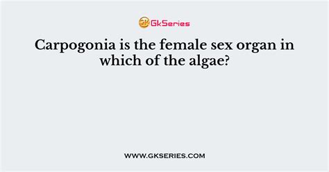 Carpogonia Is The Female Sex Organ In Which Of The Algae