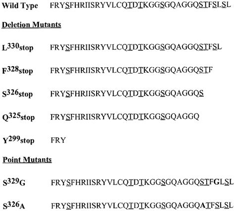 Sequence Comparison Of The Cooh Terminus Domains Of The Rat A 2b Ar