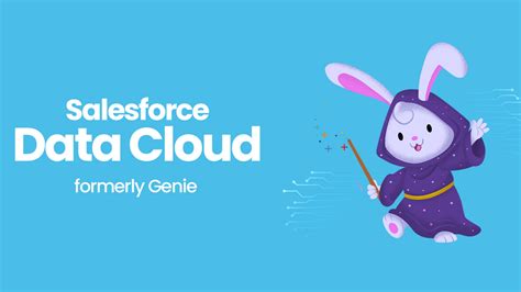 Salesforce Data Cloud Implementation Key Roles And Essential Skillsets
