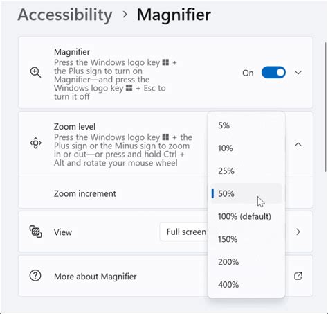 How To Use The Magnifier Tool On Windows 11