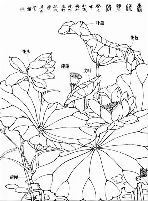 민화 모란도도안 민화도안 소품그리기 분당민화 판교민화 팝페인터 네이버 블로그 Artofit