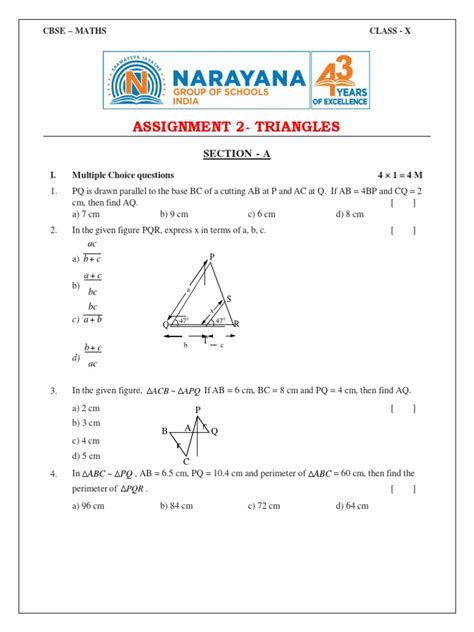 Maths 12th May Triangles Assignment Pdf Triangle Mathematics