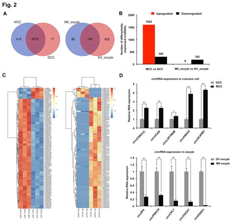 Identification And Validation Of Differentially Expressed Circrnas Download Scientific Diagram