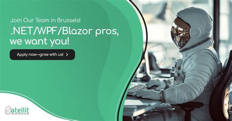 satellit on linkedin dedicatedexpertsdeliver dotnet blazor wpf