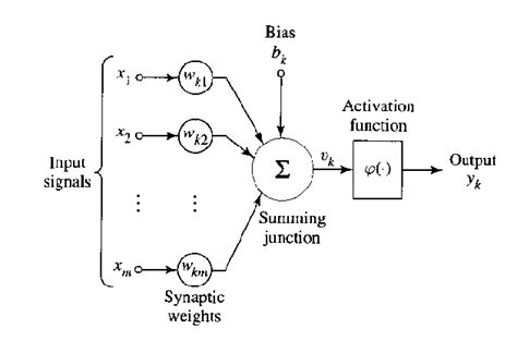 1 Nonlinear Model Of A Neuron 7 Download Scientific Diagram