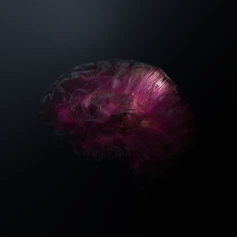 Precision Neuro Behance