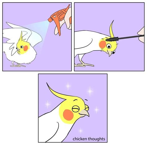 Pin Van Priscilla Ze Op Pixie Valkparkiet