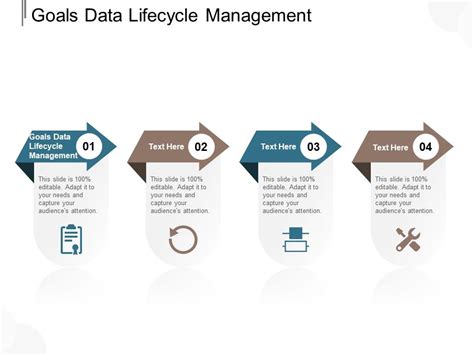 Goals Data Lifecycle Management Ppt Powerpoint Presentation Model