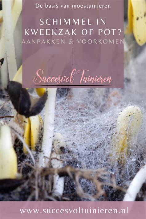 Tuinieren Met Potten Artofit