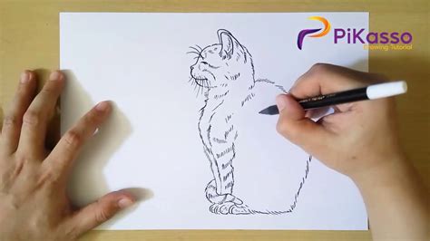 How To Draw Sitting Cat Step By Step YouTube