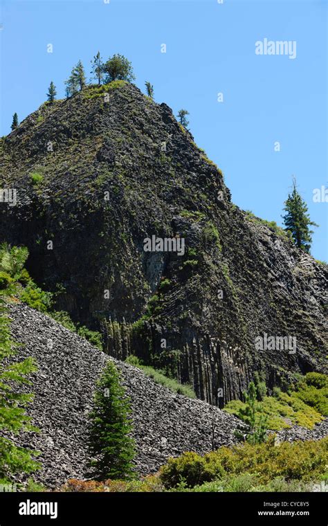 Sierra Nevada California Columns Of The Giants Trail With Circular