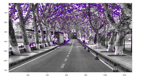 Qingyao Yang Homepage