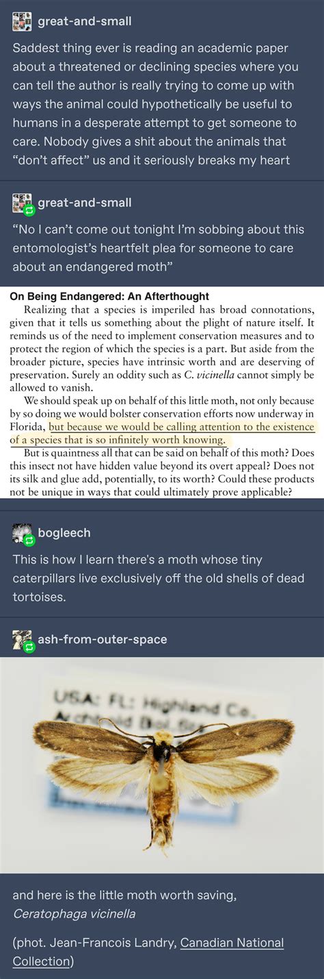 Species Worth Saving Cw Bugs Curatedtumblr