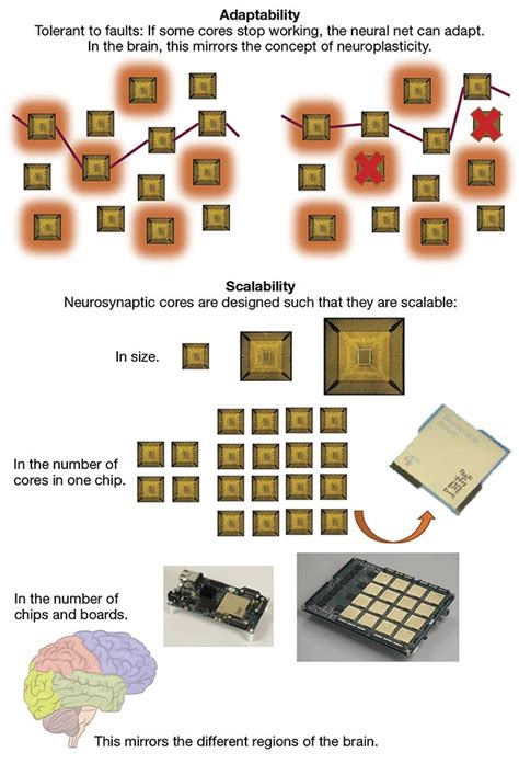 Neuromorphic Processing Set To Propel Growth In Ai Features Spring