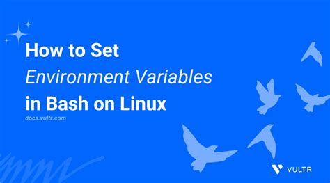 How To Set Environment Variables In Bash On Linux Vultr Docs