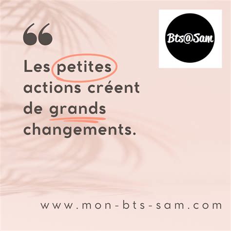🎯 Réussissez Votre Bts Sam Avec Mon Bts Bts Support à Laction Managériale