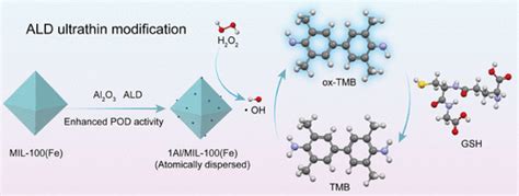 Aluminum Decorated Mil 100fe Nanozyme For The Detection Of Glutathione Acs Applied Nano