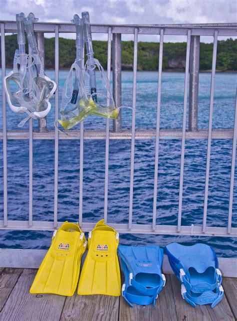 스노클링 기본코스