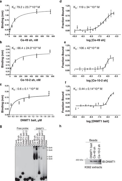 aptadir affinity and in vivo binding to dnmt1 binding curves derived