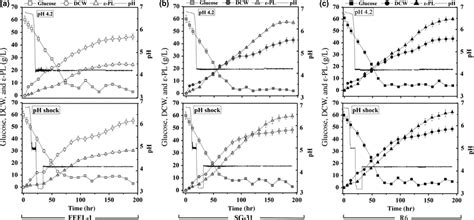 Fed‐batch Fermentation Performance Of Strains Utilizing Two Different