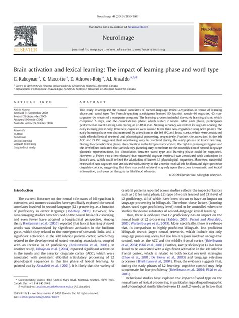 Pdf Brain Activation And Lexical Learning The Impact Of Learning Phase And Word Type