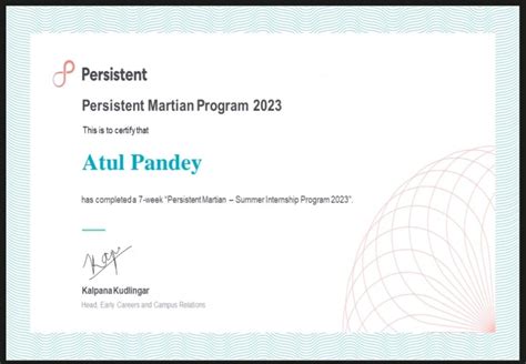 Completed A 7 Week Internship Program With Persistence System Atul