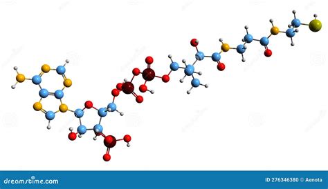 D Image Of Coenzyme A Skeletal Formula Stock Illustration Illustration Of Coash Shcoa