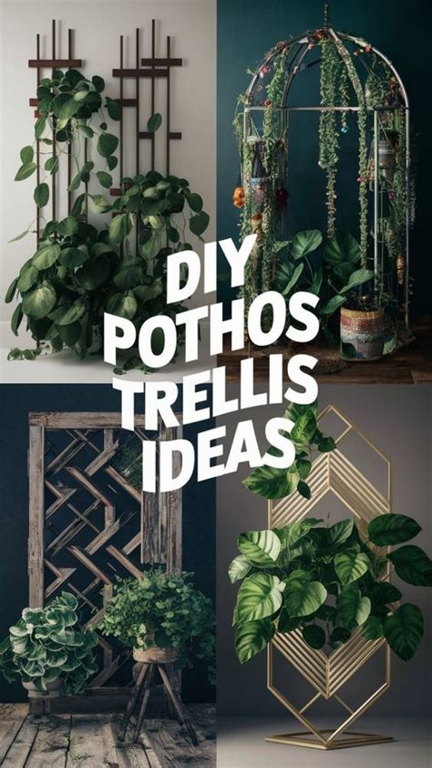 13 Diy Pothos Trellis Ideas How Can This
