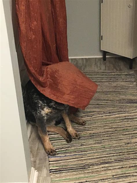 His forcefield keeps him safe from the thunderstorm. Ironically, his ...