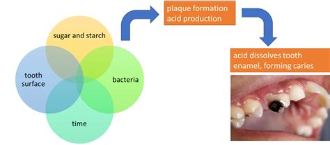 Sugar Food Sources Health Implications Intakes And Label Reading To
